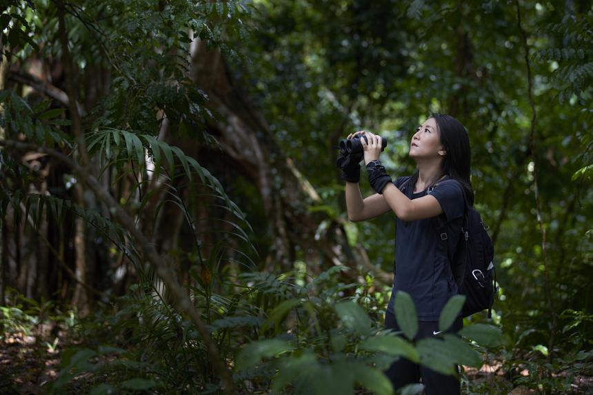 How her work in saving monkeys is protecting a part of Singapore’s heritage | The Straits Times